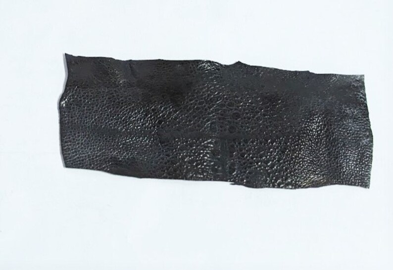 Single One Small Piece Bumpy BUFO TOAD FROG Skin Leather Craft - Etsy