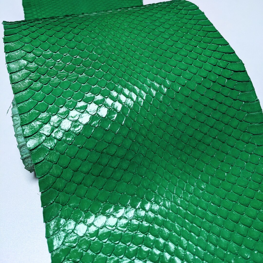 Sea Python Snake Skin Lifted Scale SNAKESKIN HIDE Craft Supply 3 Colors ...