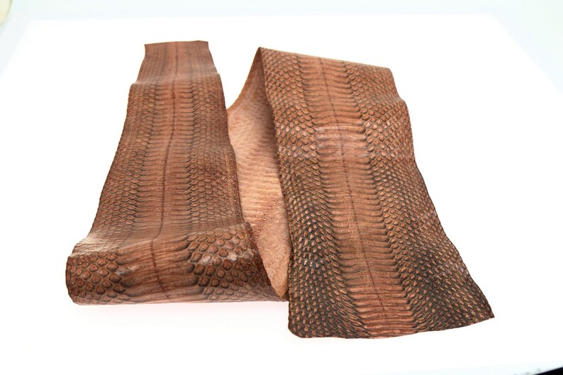 Asia Cobra Snake Skin Hide Leather Snakeskin Craft Supply | Etsy