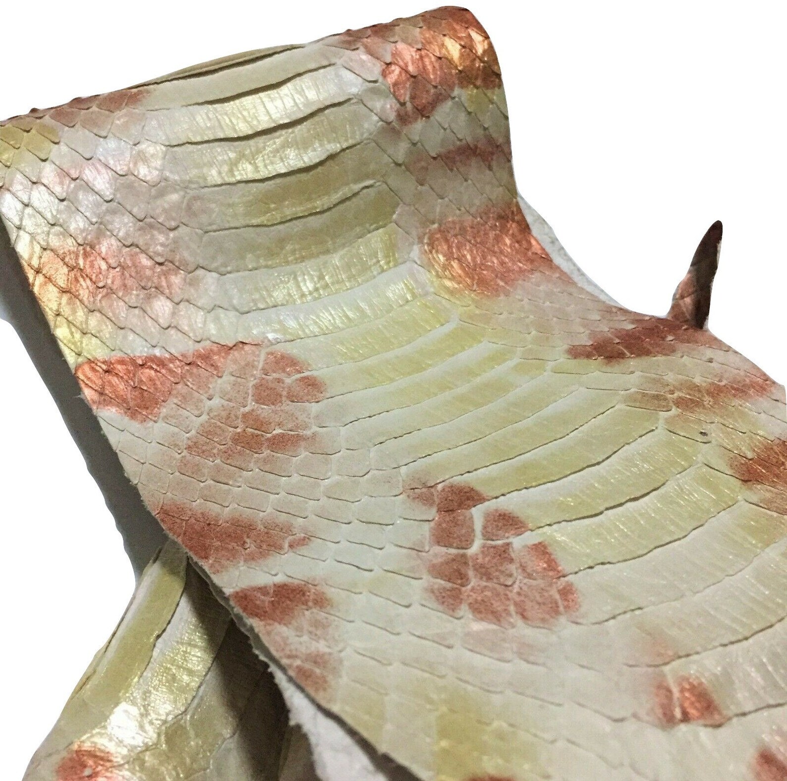 Elaphe Carinata Snake Skin Hide Leather Snakeskin Beige | Etsy