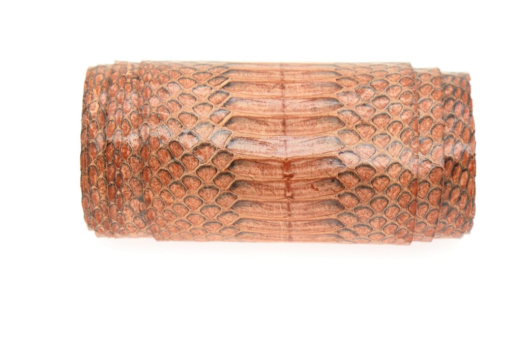 Asia Cobra Snake Skin Hide Leather Snakeskin Craft Supply Glossy Soft ...
