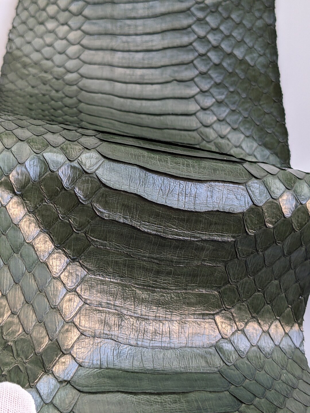 Asia Cobra Snake Skin Snakeskin Leather Hide Craft Supply Back Cut ...