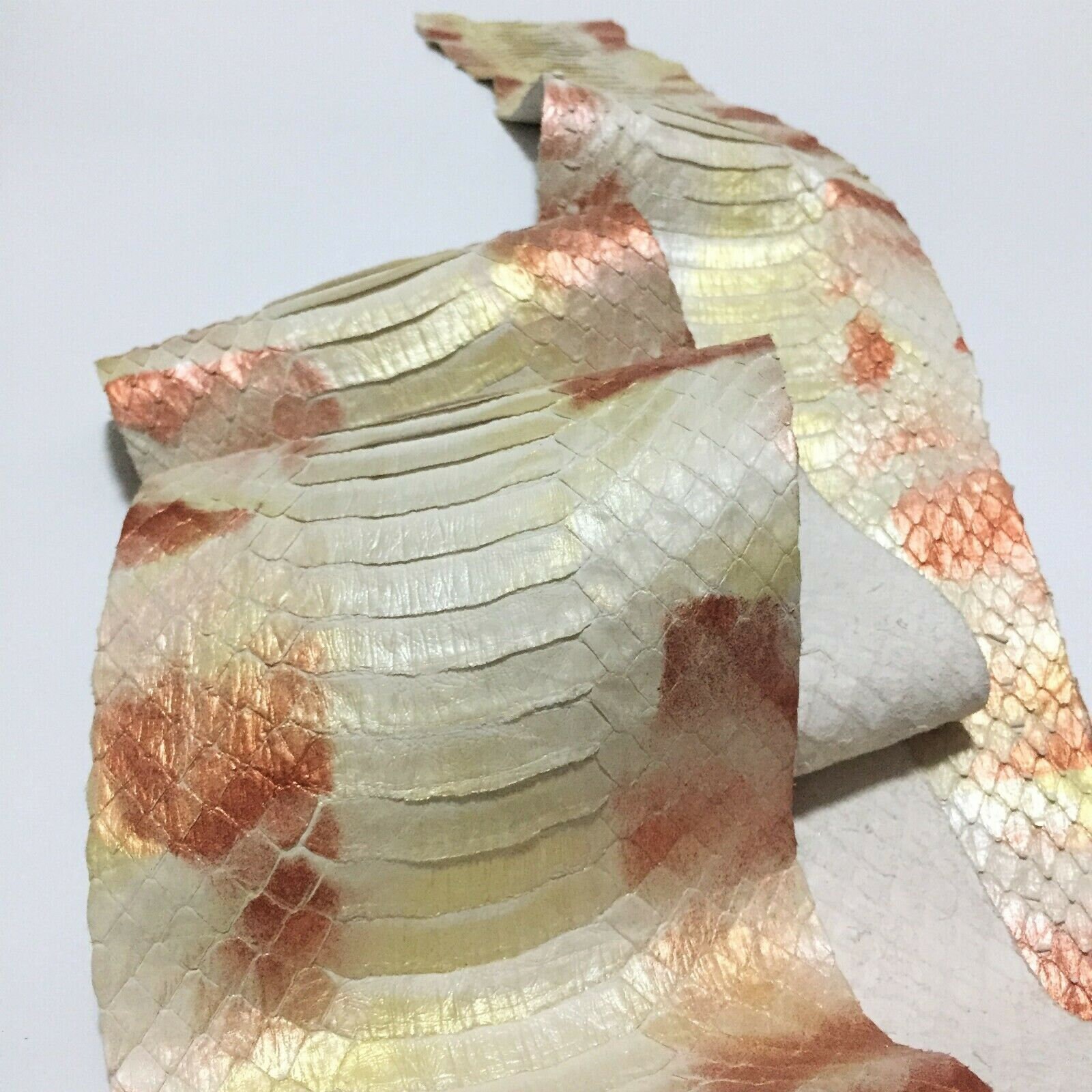 Elaphe Carinata Snake Skin Hide Leather Snakeskin Beige | Etsy