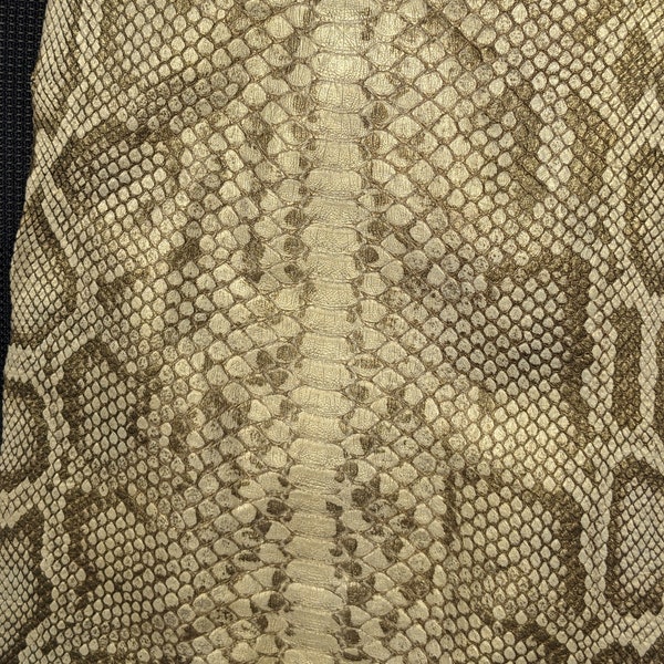 Burmese Python Skin - Etsy