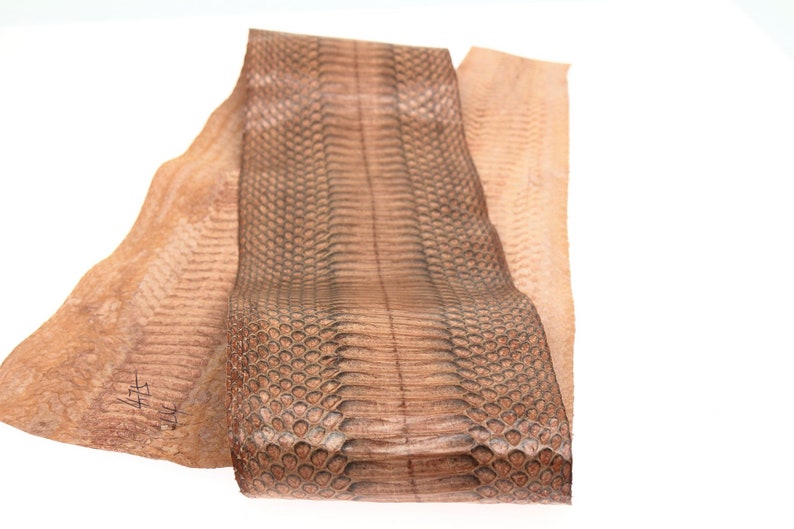 Asia Cobra Snake Skin Hide Leather Snakeskin Craft Supply - Etsy