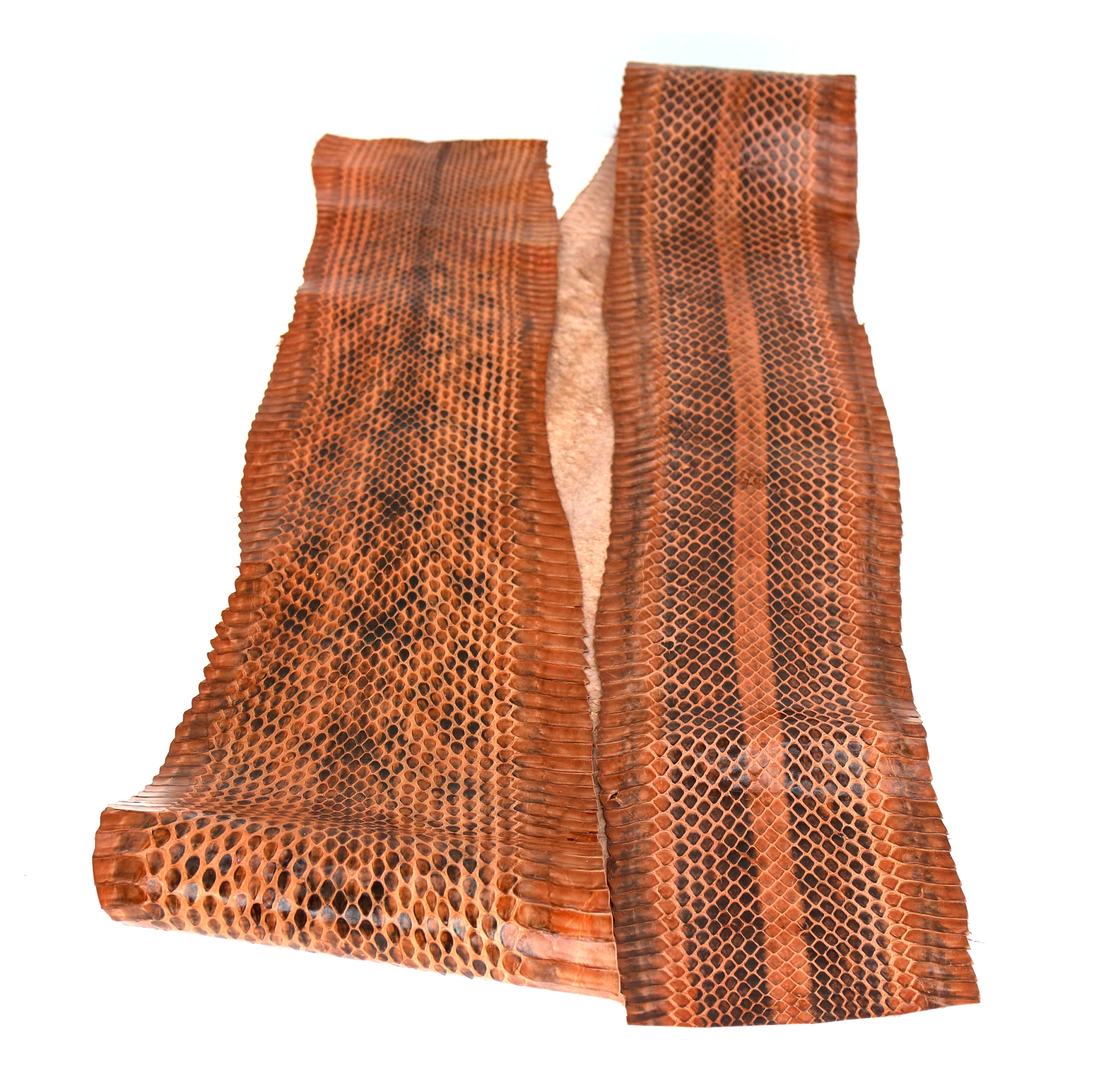 Veg Tanned Leather Snake Skin Oriental Ratsnake Snakeskin Hide - Etsy