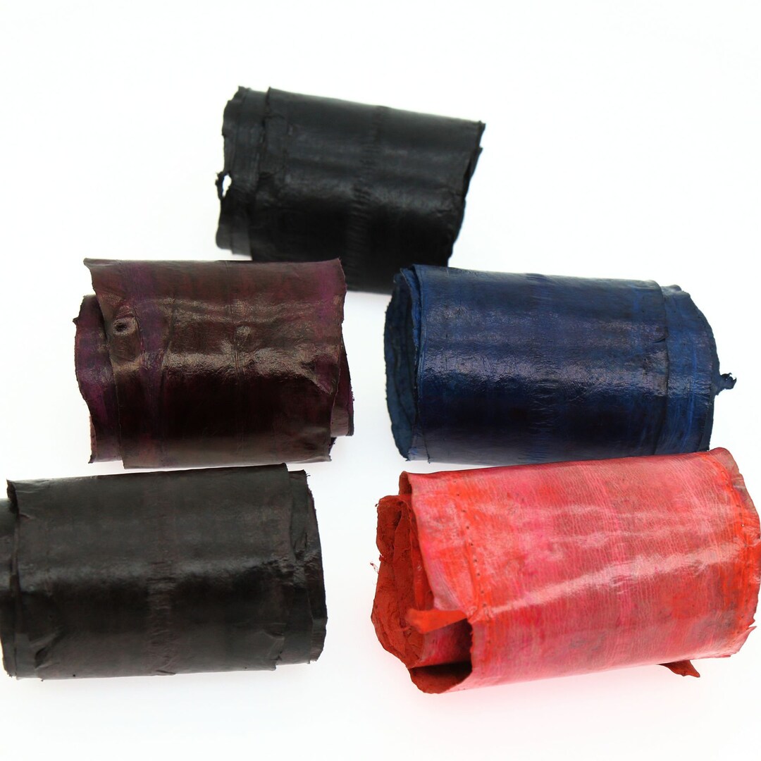 Single Eel Skin Eelskin Hide Leather Craft Supply - Etsy