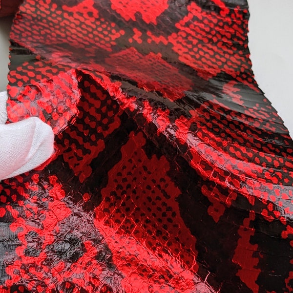 Reticulated - Etsy