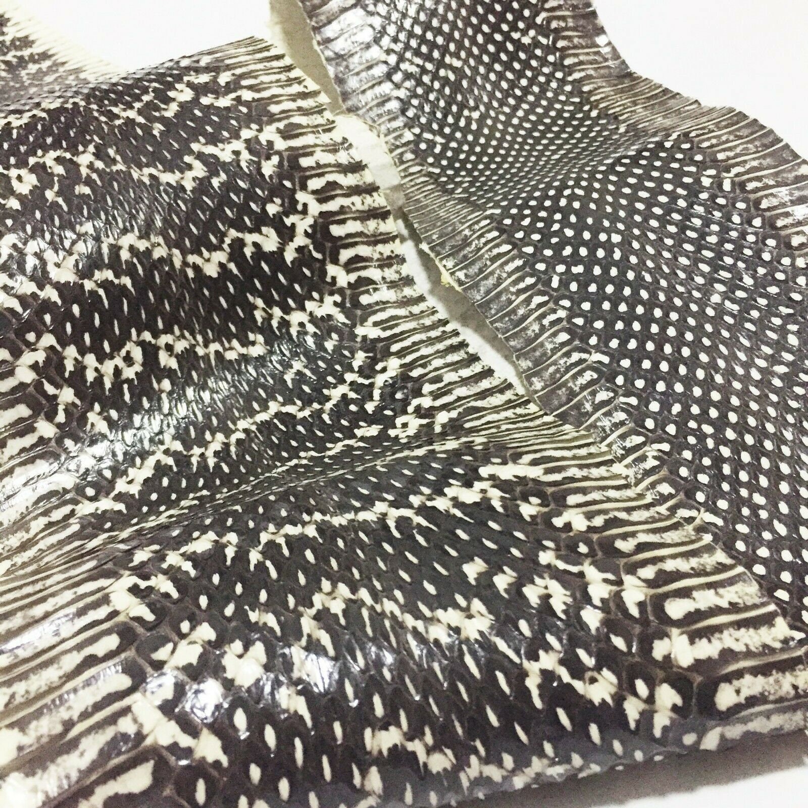 Elaphe Carinata Snake Skin Hide Leather Snakeskin Natural | Etsy