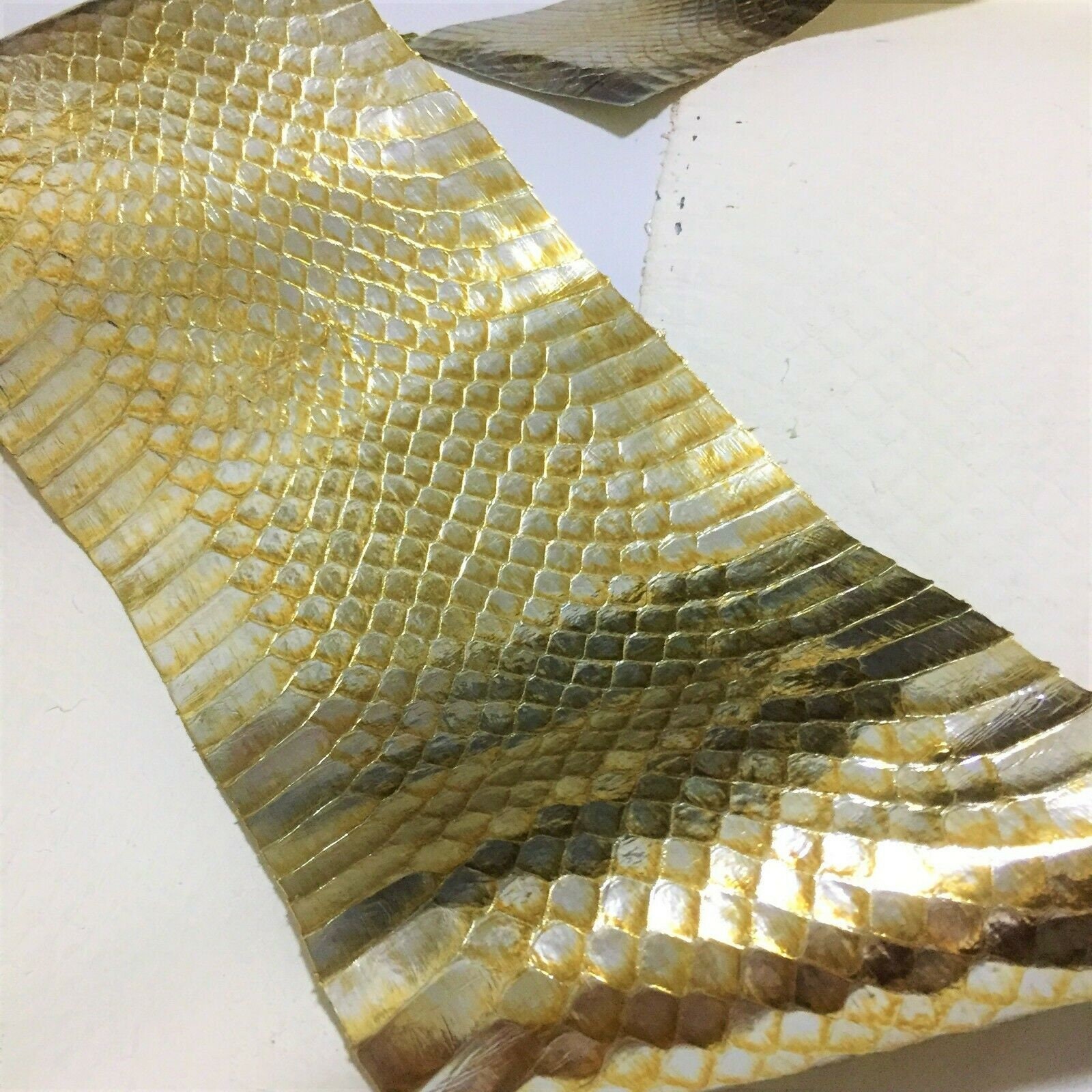 Fancy Metallic Snake Skin SNAKESKIN Genuine Leather Tanned | Etsy