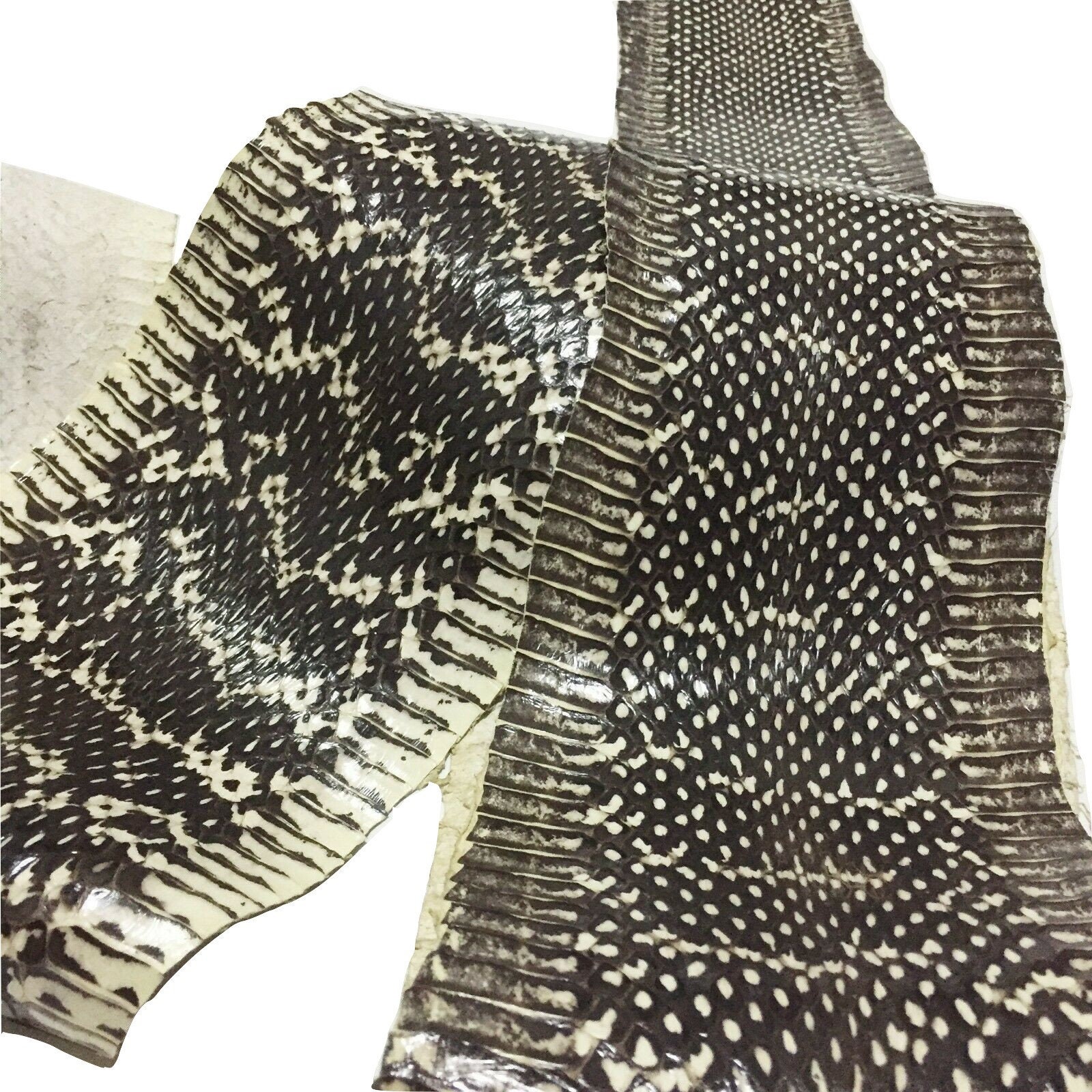 Elaphe Carinata Snake Skin Hide Leather Snakeskin Natural | Etsy