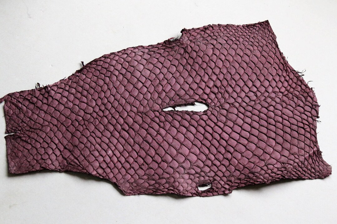 Real Fish Leather Skin Herbivorous Carp Leather Goods Cranberry ...