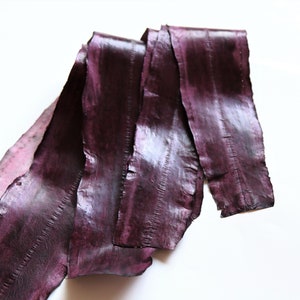 Single Eel Skin Eelskin Hide Leather Craft Supply - Etsy