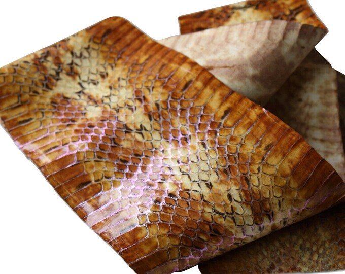 Oriental Ratsnake Snake Skin Hide Leather Snakeskin Craft Supply ...