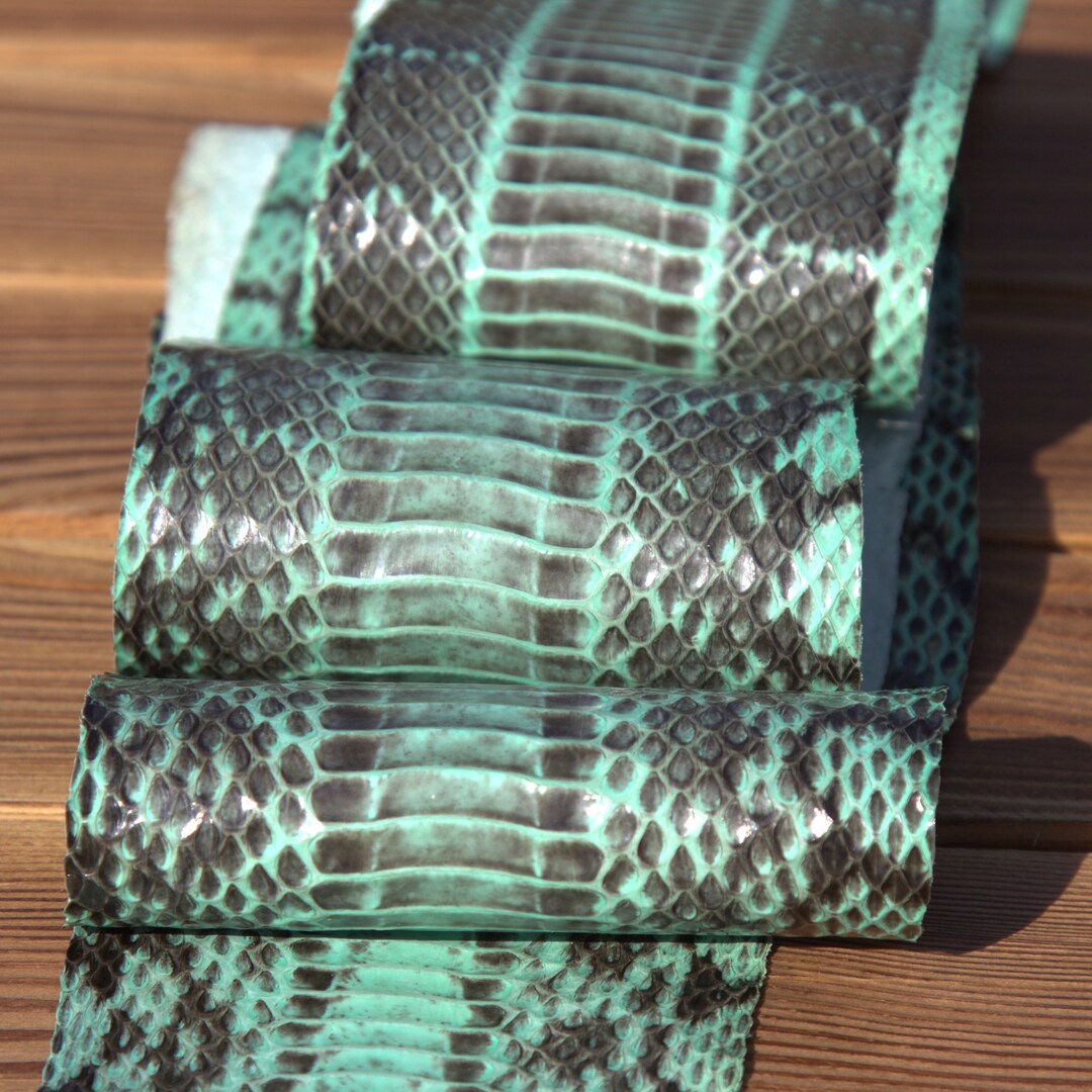Unbleached Snakeskin Snake Skin Pelt Craft Supply Leathercraft Bermuda ...
