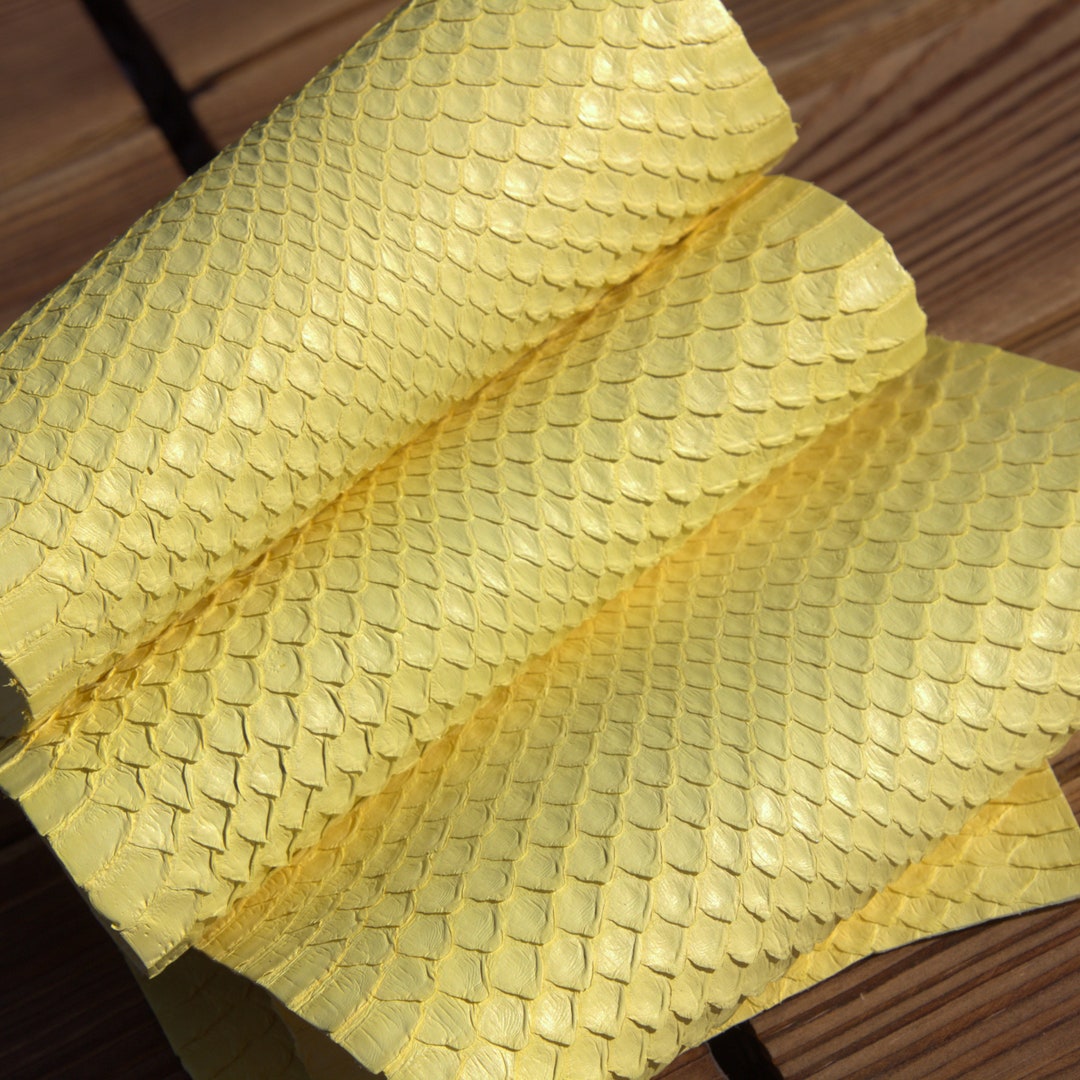 Lifted Scale Sea Python Snake Skin Snakeskin Hide Leather - Etsy