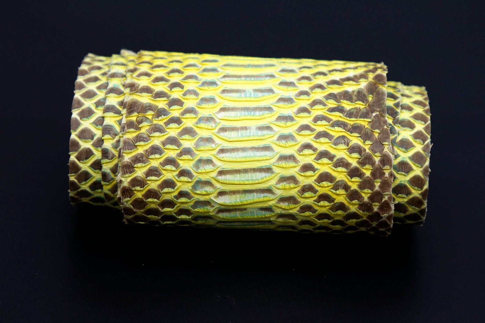 Authentic Sea Snake Skin SNAKESKIN HIDE Craft Supply Back Cut - Etsy