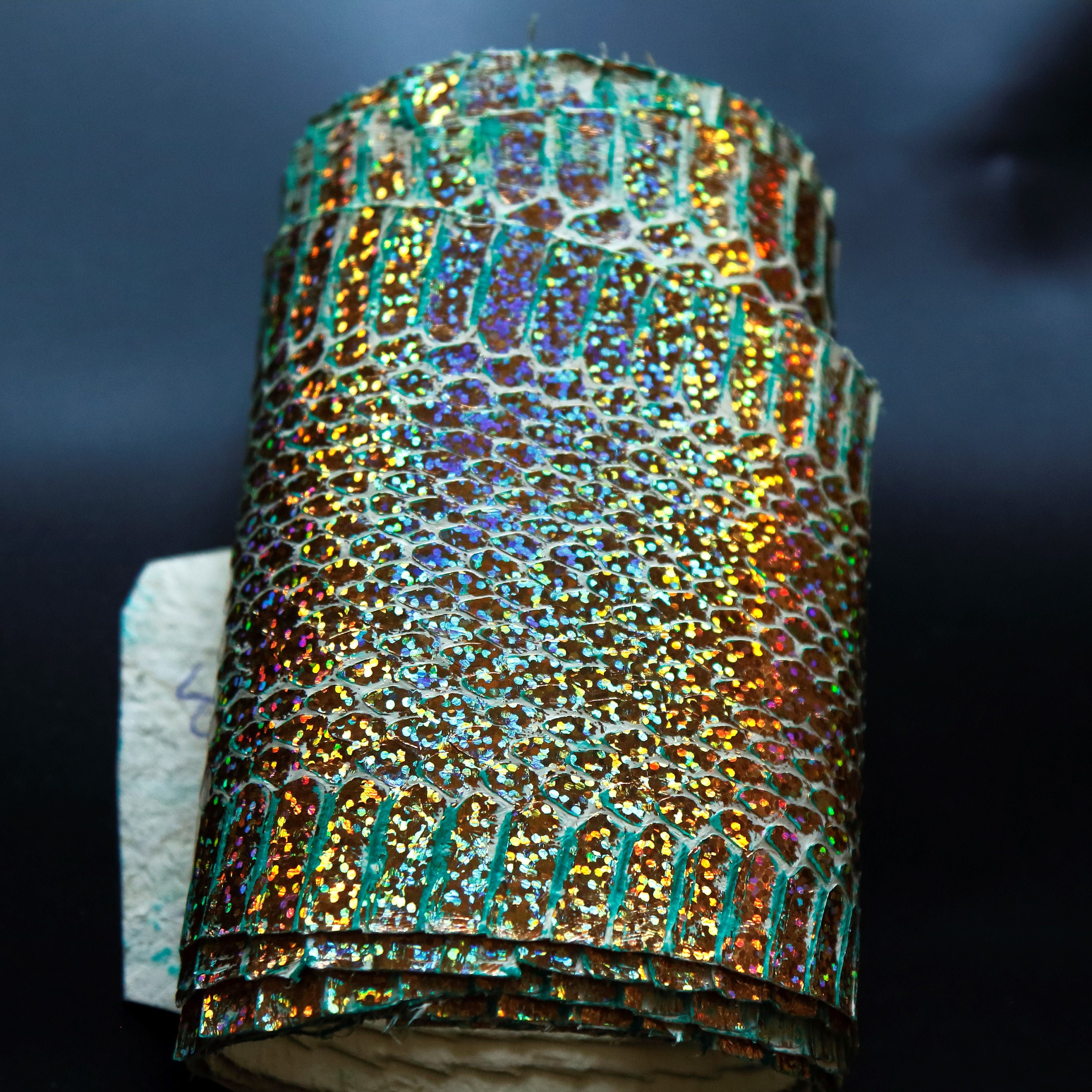 Iridescent Snake Skin Elaphe Carinata Hide Leather Snakeskin | Etsy