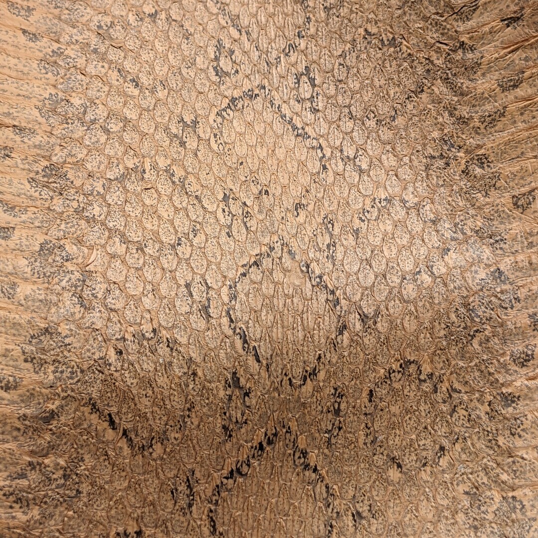 Dyed Exotic Snake Skin Real Snake Leather Tan Color - Etsy