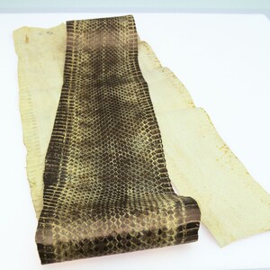 Vintage Metallic Snakeskin Leather Elaphe Snake Skin Hide - Etsy