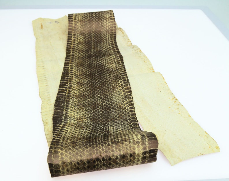 Vintage Metallic Snakeskin Leather Elaphe Snake Skin Hide | Etsy