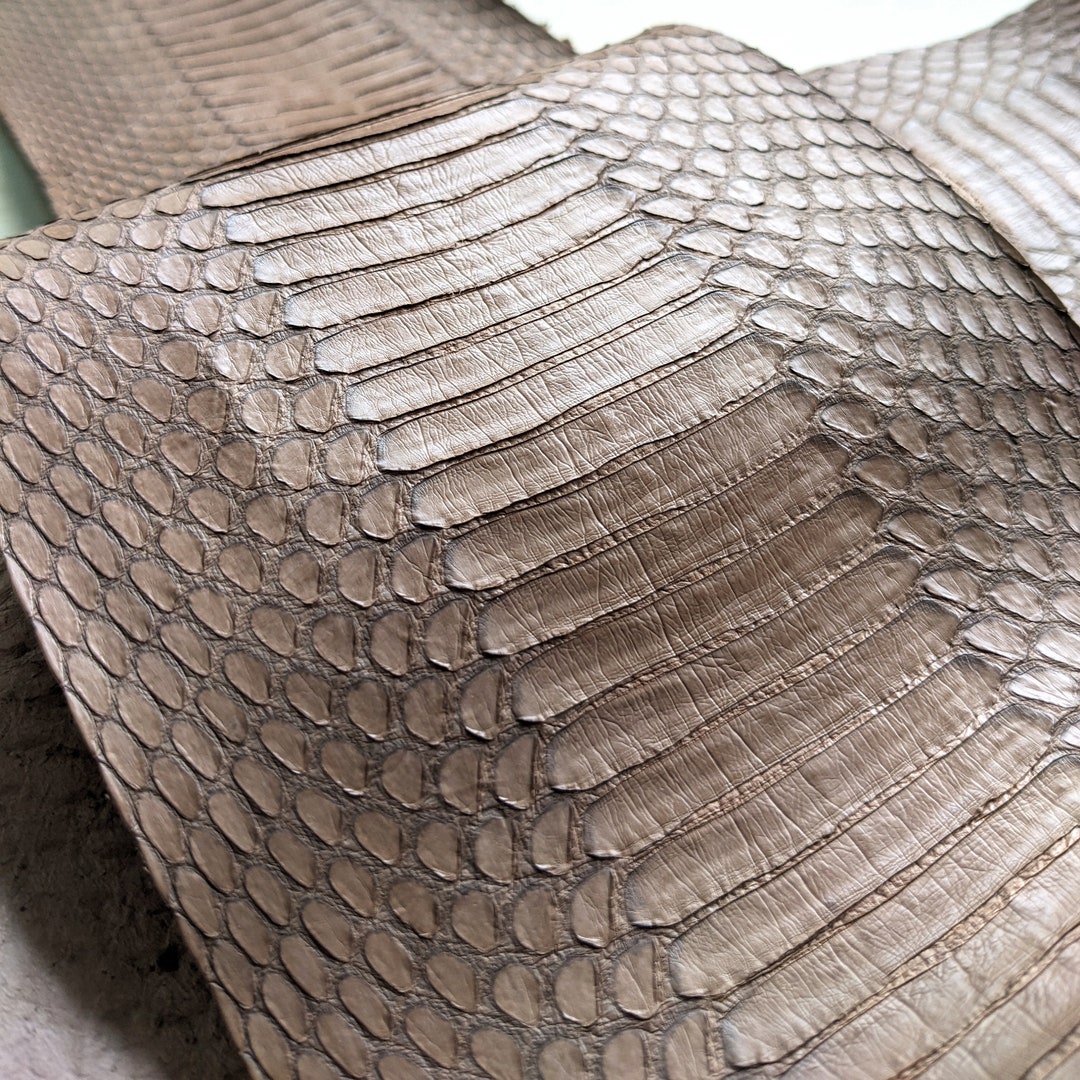 Asia Cobra Snakeskin Snake Skin Hide Leather Without Hole - Etsy
