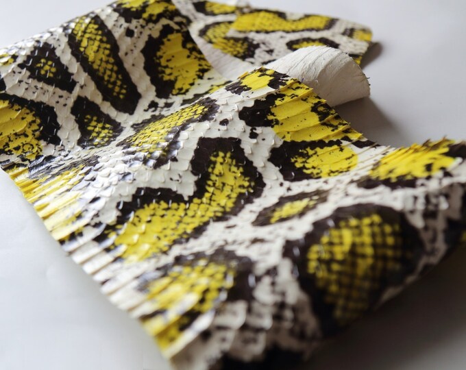 Cobra SNAKESKIN SNAKE SKIN Hide Tanned Burmese Python Print Yellow - Etsy