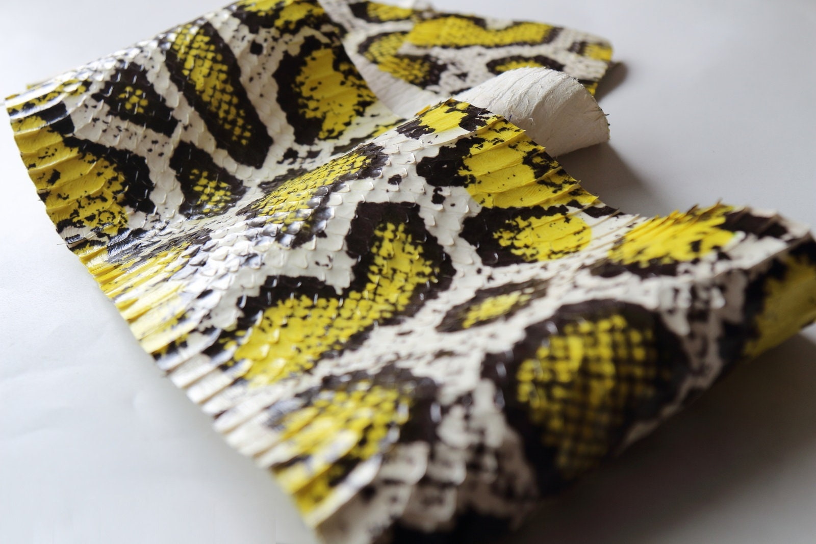 Cobra SNAKESKIN SNAKE SKIN Hide Tanned Burmese Python Print 2 | Etsy