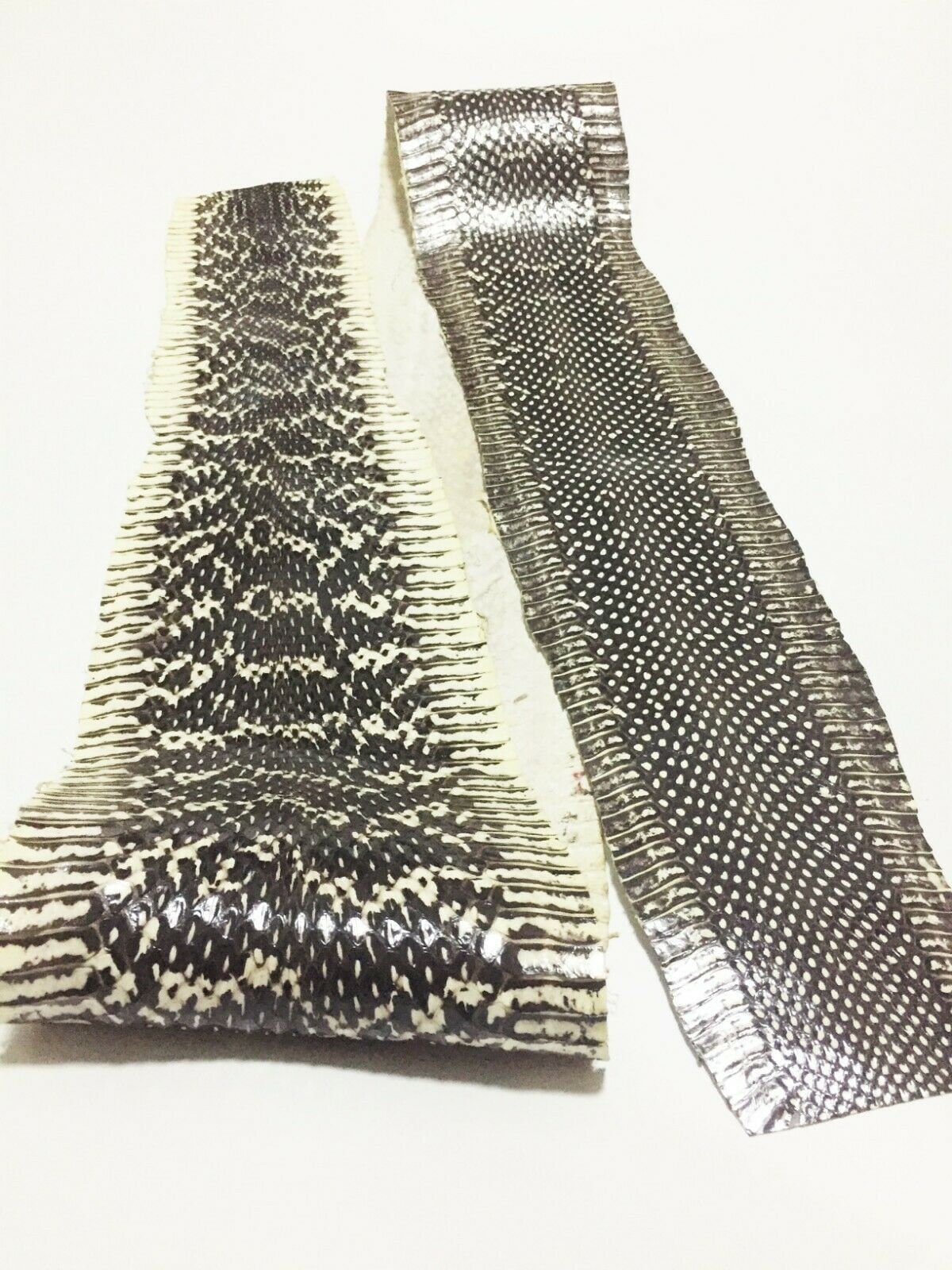 Elaphe Carinata Snake Skin Hide Leather Snakeskin Natural | Etsy