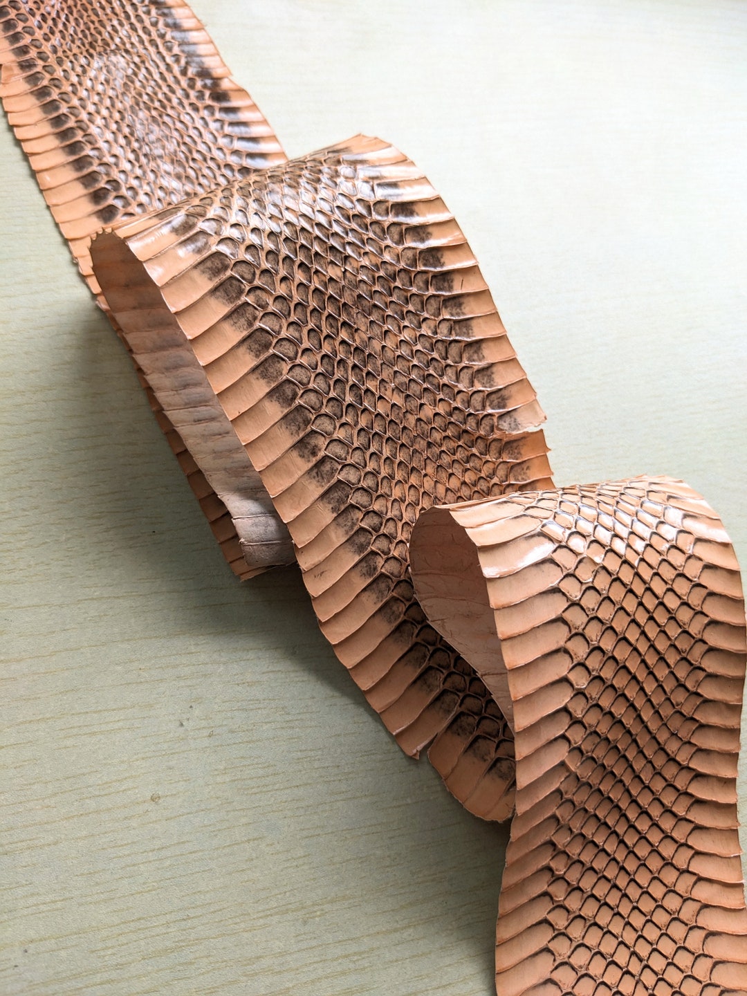 Single One Unbleached Indo-chinese Rat Snake Skin Hide Leather ...