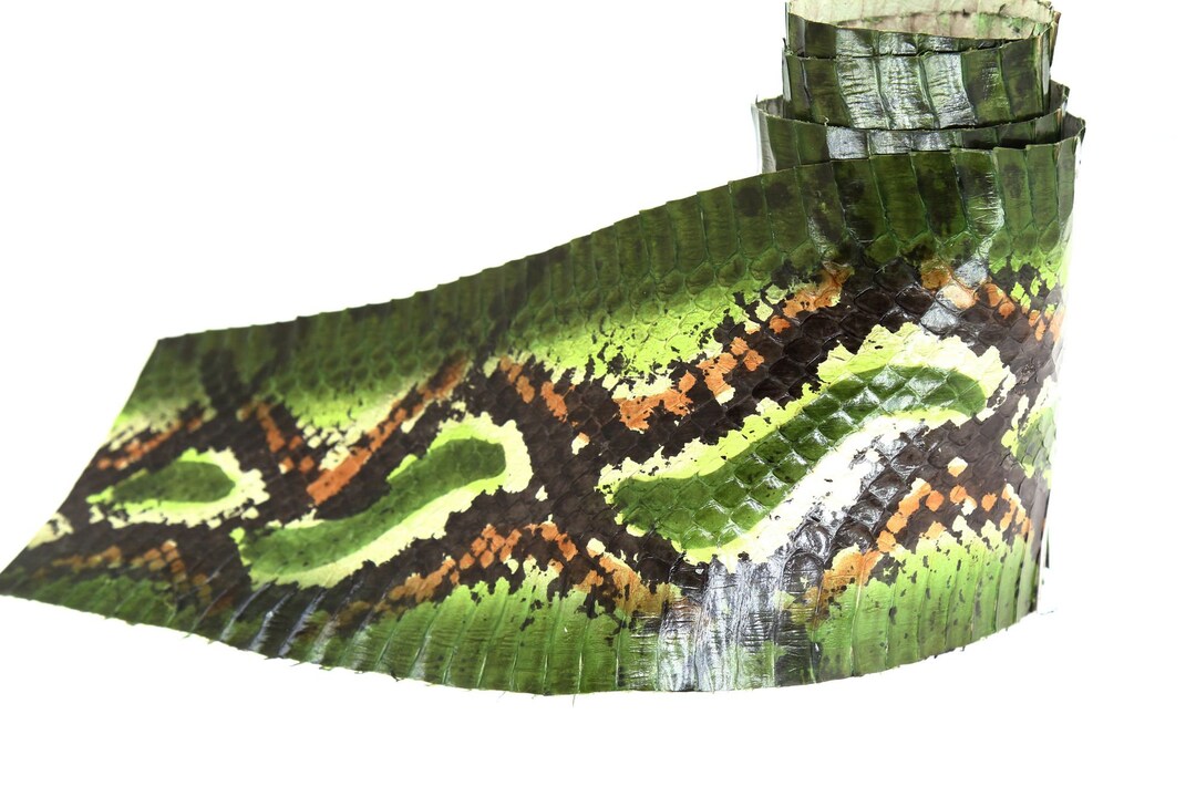 Real Cobra SNAKESKIN SNAKE SKIN Hide Tanned Exotic Leather - Etsy
