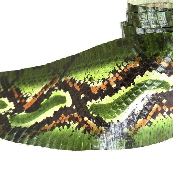 Real Snake Skin - Etsy