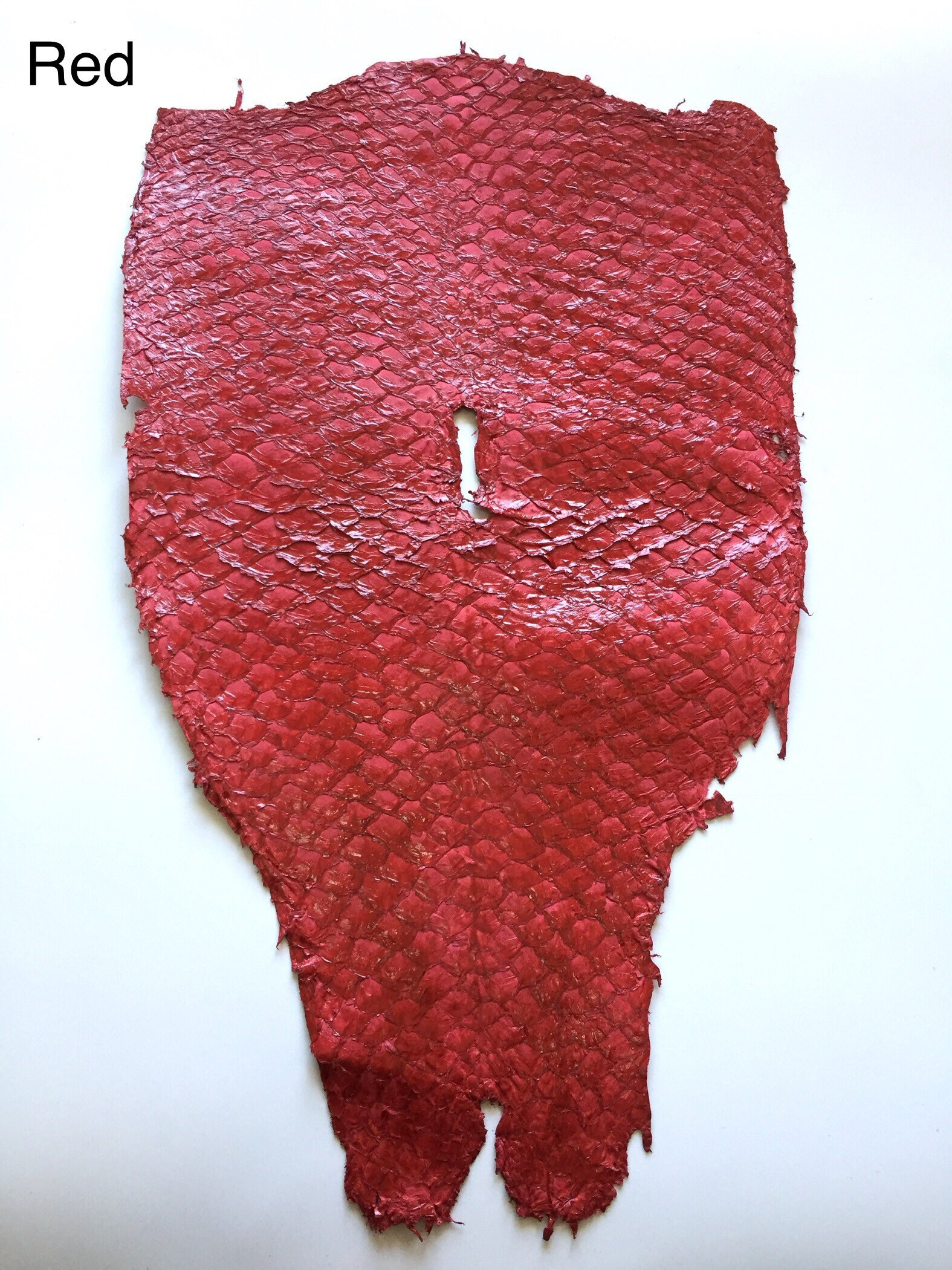 Asia Supple Grass Carp Fish Skin Leather Hide Glazed - Etsy