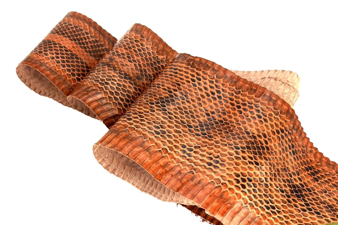 Veg Tanned Leather Snake Skin Oriental Ratsnake Snakeskin Hide Craft ...