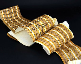 Nautical Stripes Print Snake Skin Hide Leather Snakeskin | Etsy