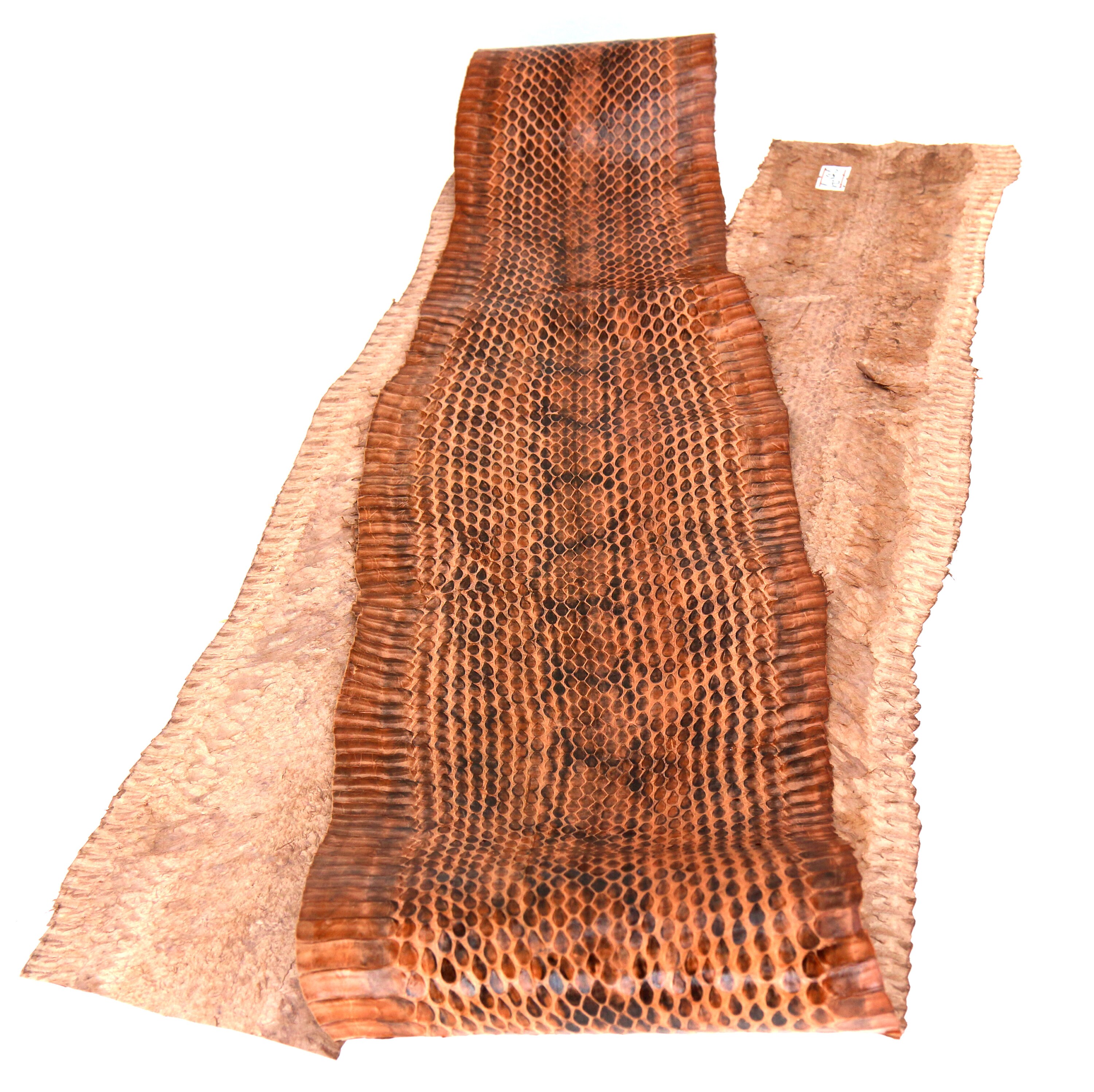 Veg Tanned Leather Snake Skin Oriental Ratsnake Snakeskin Hide - Etsy