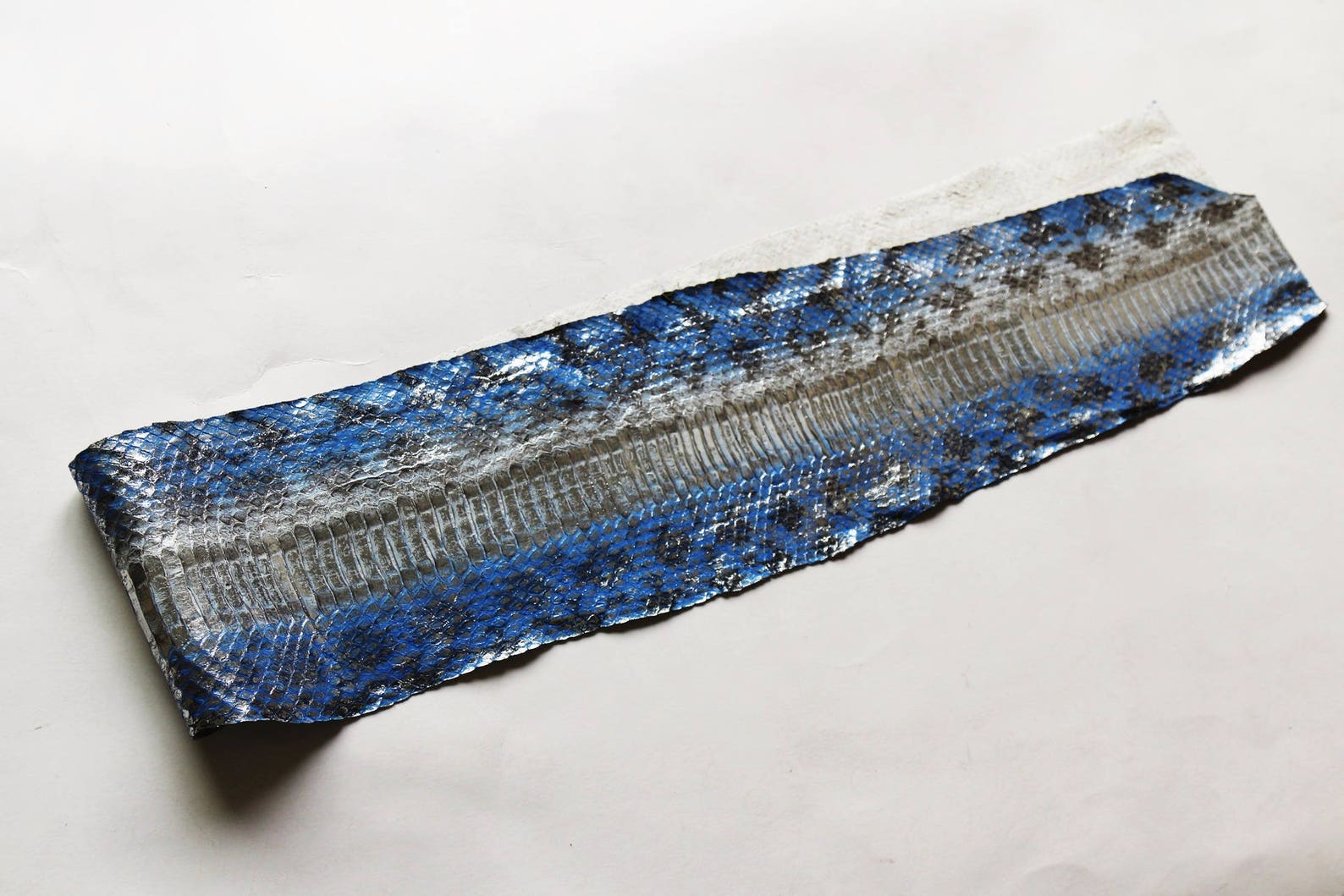 Genuine Snake Skin Hide Leather Snakeskin Back Cut Metallic - Etsy