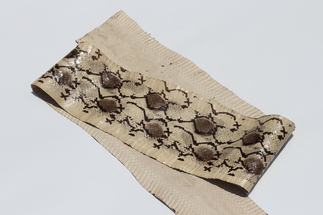 Supple Cream Genuine Snake Skin Hide Snakeskin Leathe Craft Supply ...
