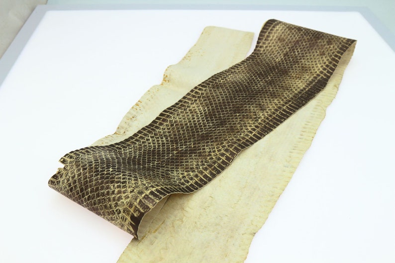 Vintage Metallic Snakeskin Leather Elaphe Snake Skin Hide | Etsy
