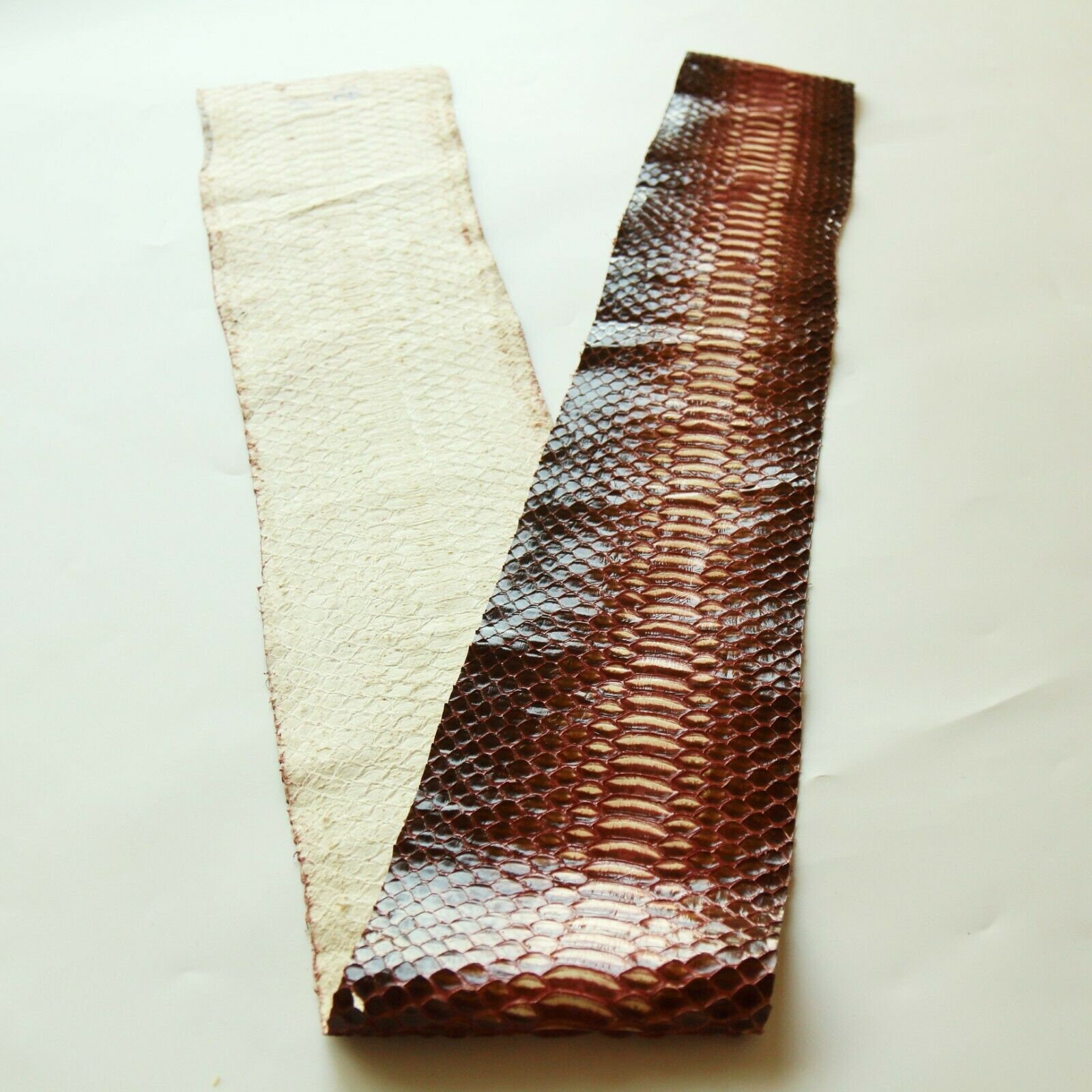 Authentic Sea Snake Skin SNAKESKIN HIDE Craft Supply 5 Colors | Etsy