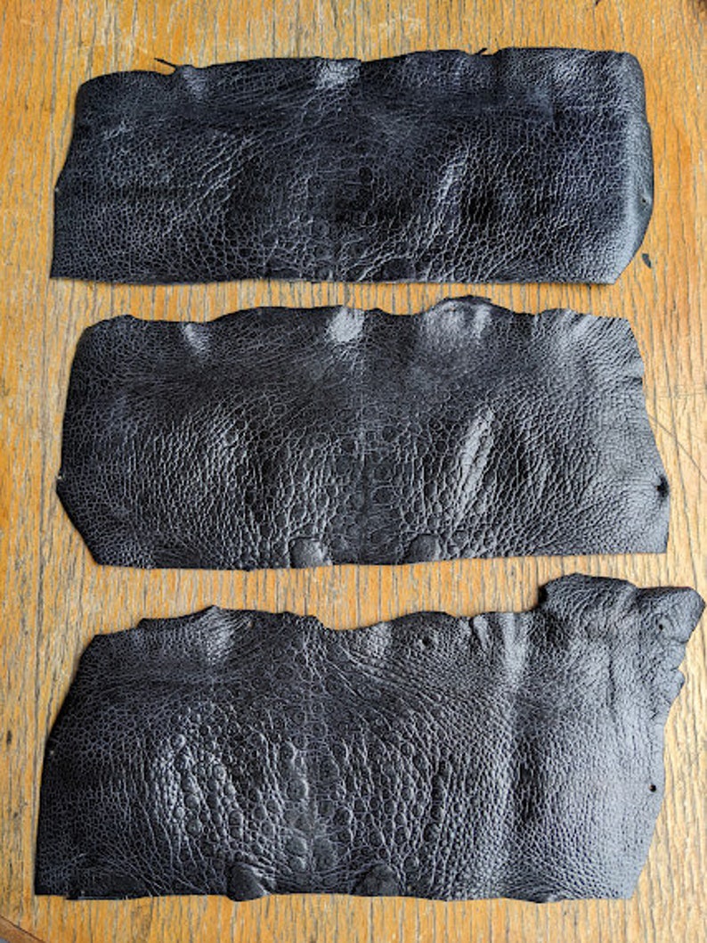 Single One Small Piece Bumpy BUFO TOAD FROG Skin Leather Craft - Etsy