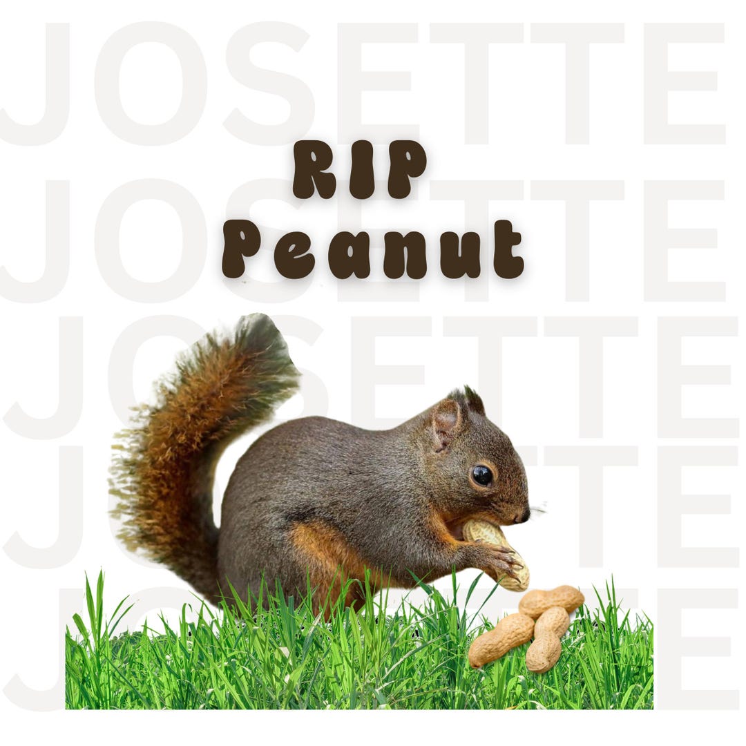 RIP Peanuts Justice for the Squirrel PNG Great for Sublimation High ...