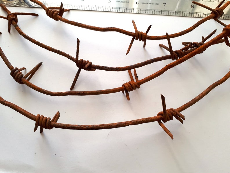 Original WWII WW2 Barbed Wire Battle Relic 1943 Bunker Eastern Front ...