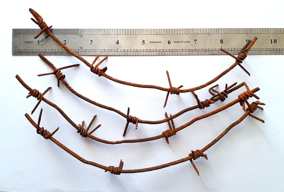 Original WWII WW2 Barbed Wire Battle Relic 1943 Bunker Eastern Front ...