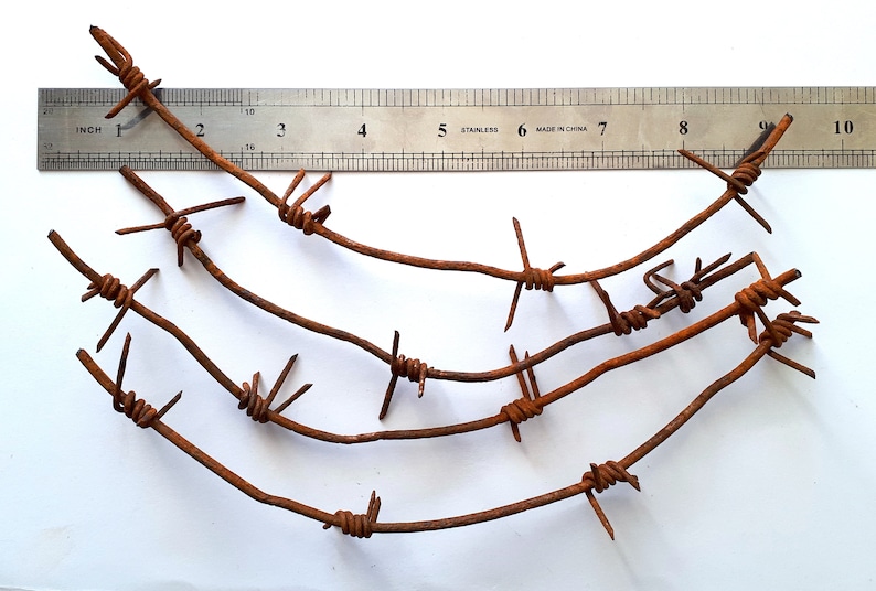Original WWII WW2 Barbed Wire Battle Relic 1943 Bunker Eastern Front ...