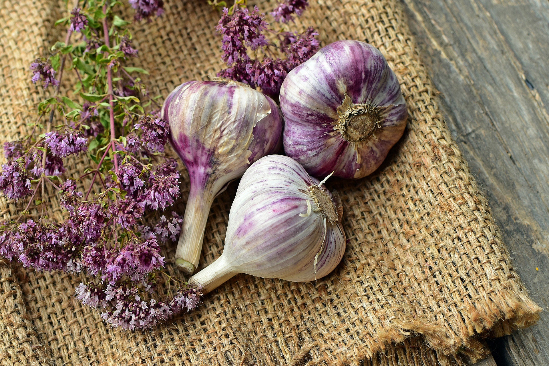 Garlic Food Photo Kitchen Photography Rustic Digital Download - Etsy UK