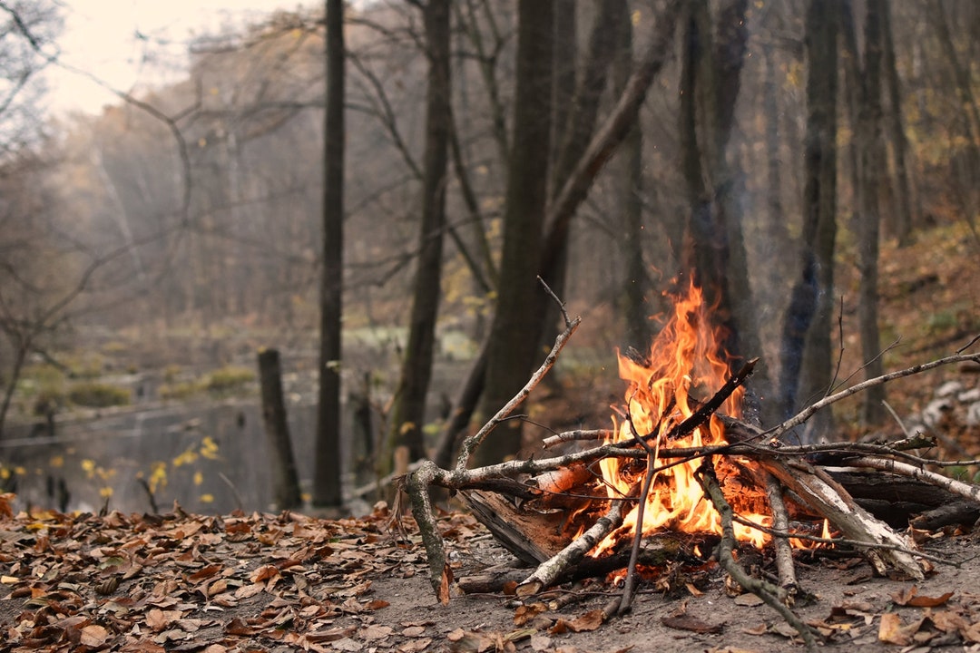 Forest Photography Nature Printable Landscape Art Autumn Photo Bonfire ...