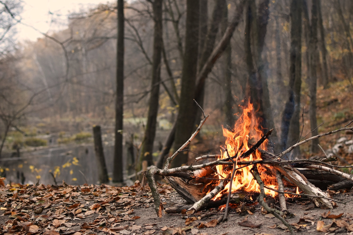 Forest Photography Nature Printable Landscape Art Autumn Photo Bonfire ...