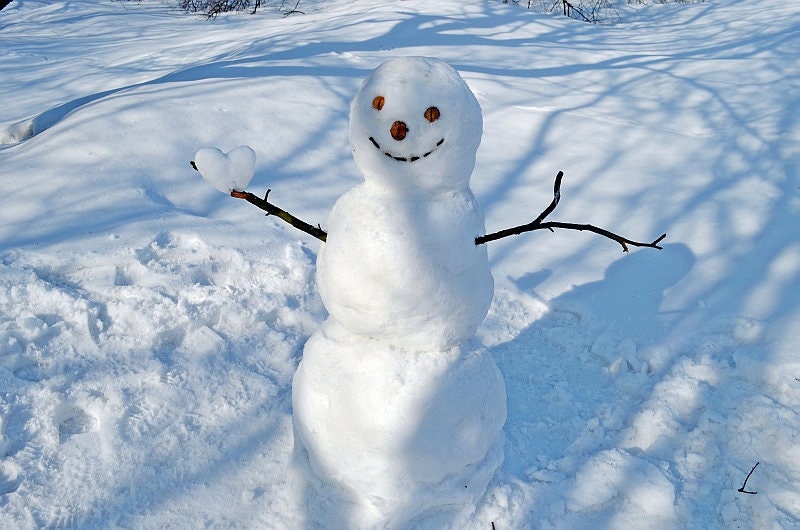 Winter Real Snowman