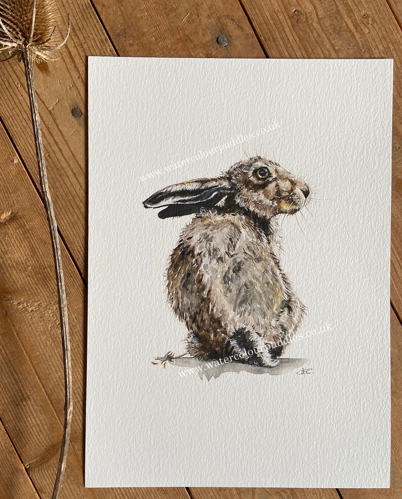 Hare Watercolour Hare Print Hare Art Fine Art Animal Print - Etsy